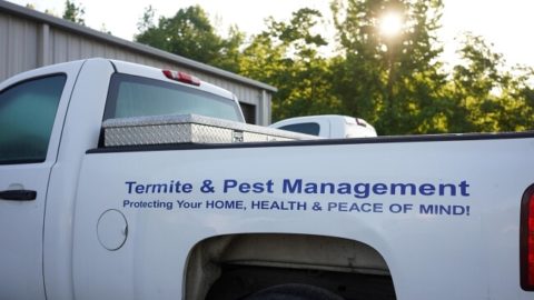 Pest Control Services & Exterminator - West Termite, Pest & Lawn
