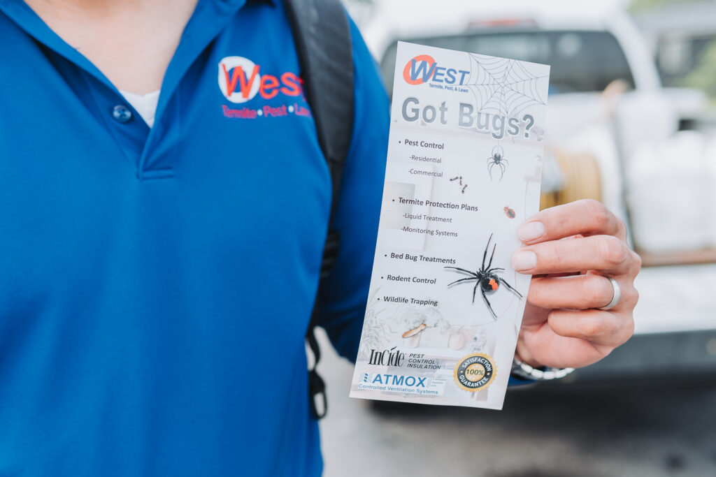 How to Protect Your Arkansas Home from Termites This Spring - West ...