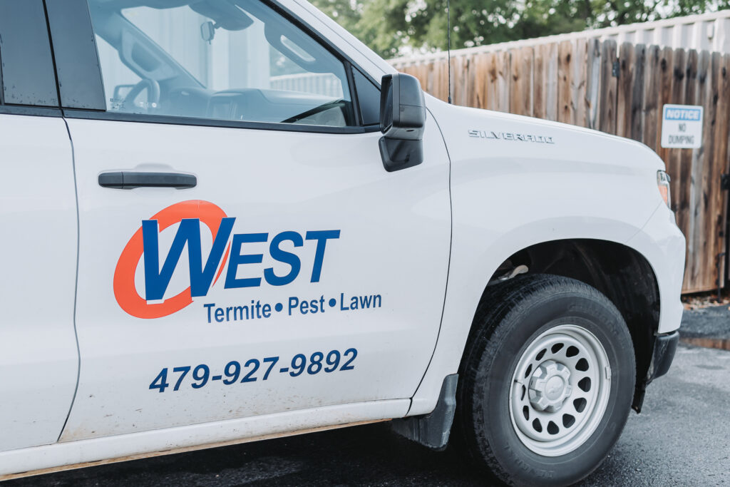 Protecting Pets from Fleas and Ticks: Summer Pest Control Advice - West ...