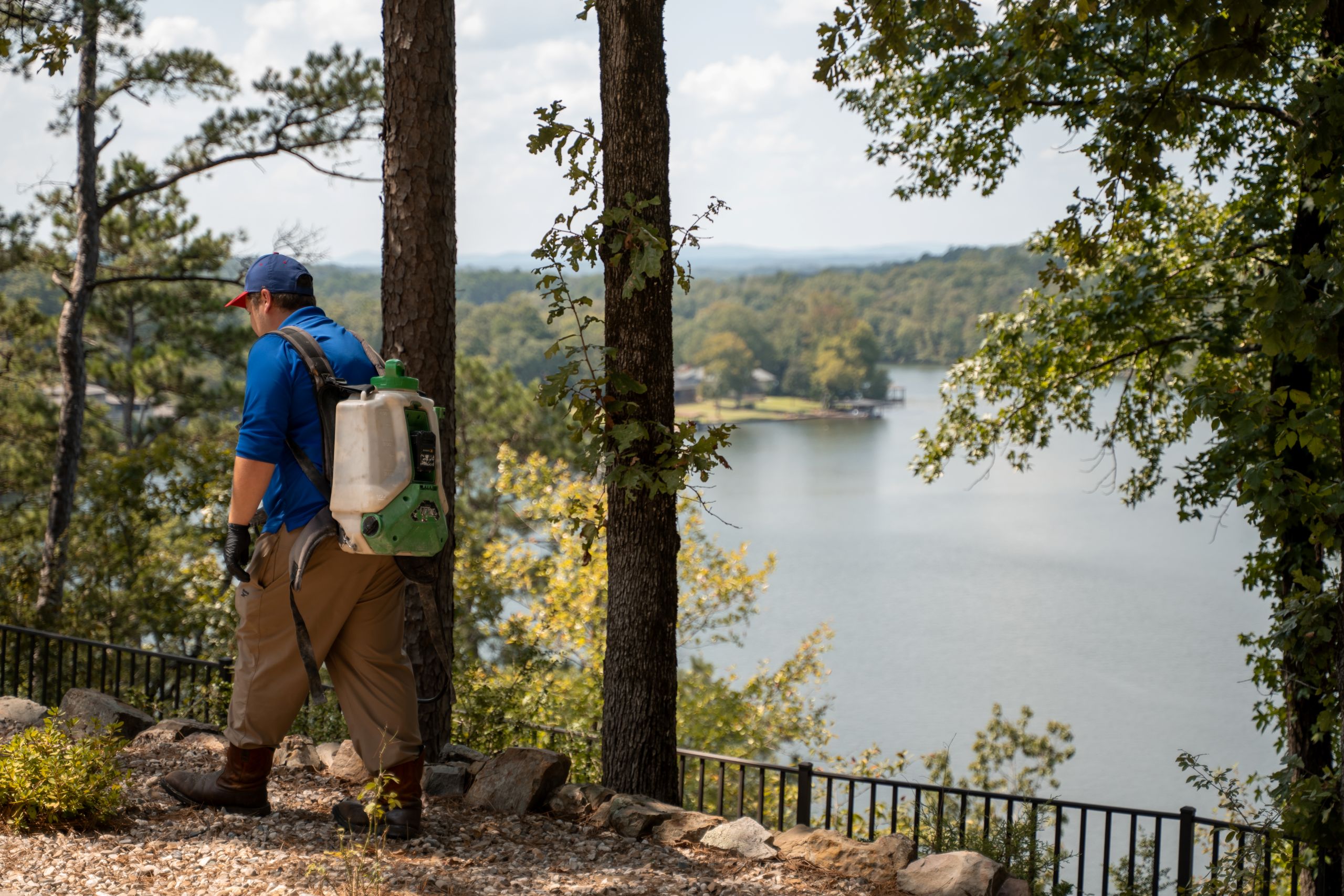 Early Signs of Spring Pest Activity - West Termite, Pest and Lawn